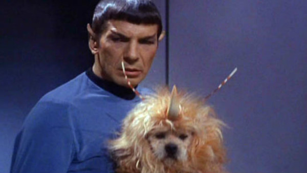 Star Trek: 15 Most Hilariously Unthreatening Alien Races