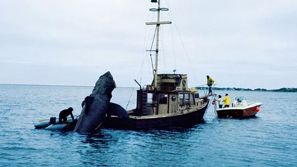 15 Behind The Scenes Jaws Images You Need To See