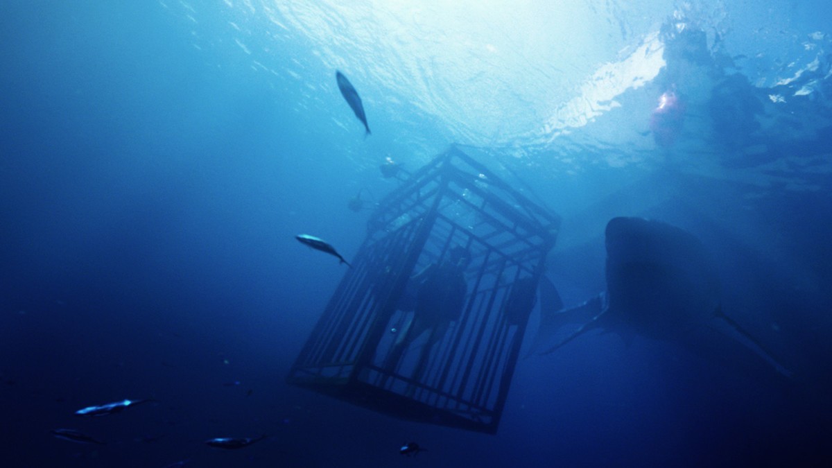 10 Movies Where Characters Get Trapped In Ridiculous Places