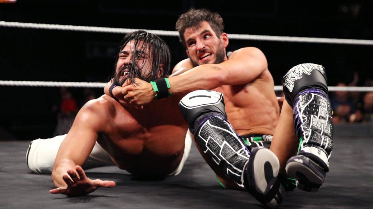 10 Best WWE NXT Wrestlers Of 2017