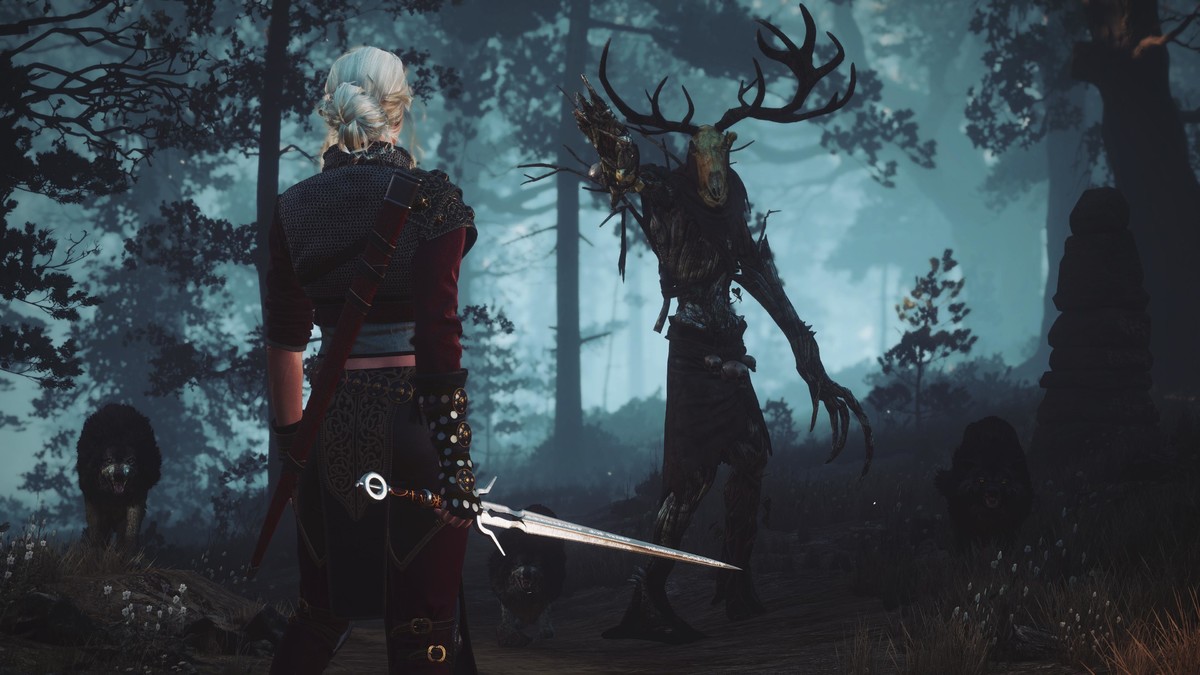 The Witcher 3: 10 Hardest Boss Battles You MUST Find