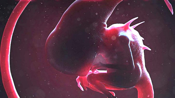 Alien 3: What Really Happened?