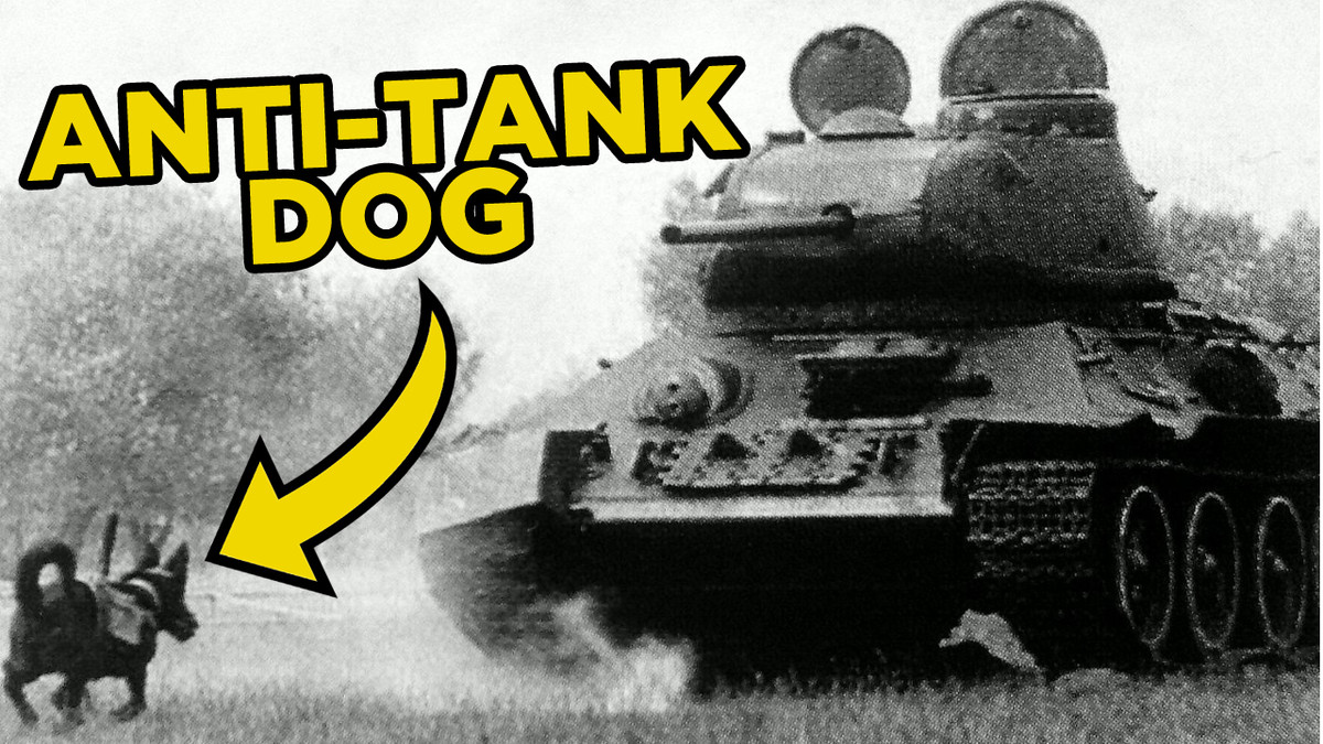 10 Weirdest WWII Stories You Probably Haven't Heard