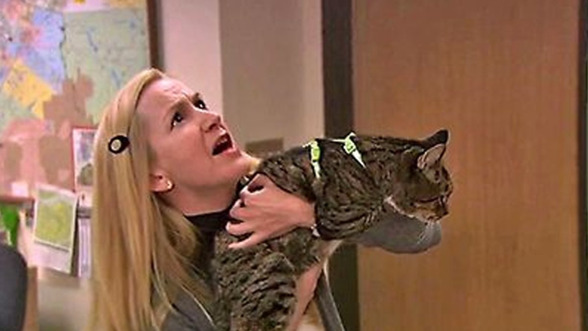 The Office Quiz: Did Angela Martin Say It?