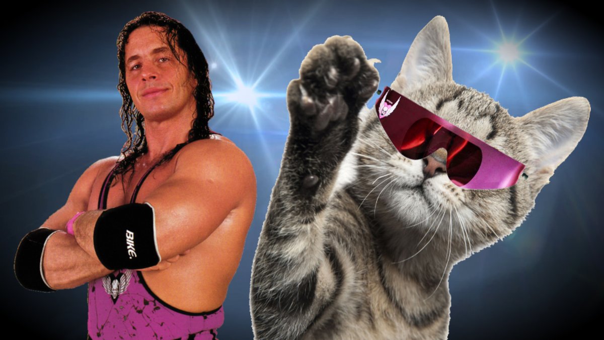 Bret Hart Almost Had A CAT Sidekick In WCW