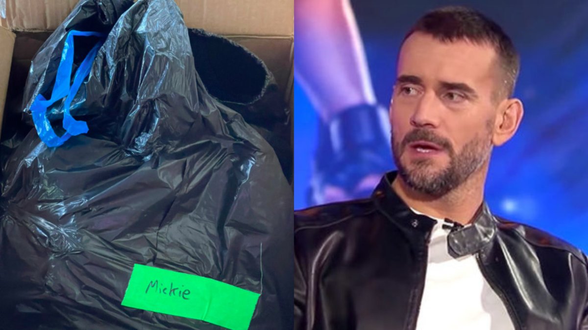 CM Punk Reacts To Mickie James' WWE Trash Bag Incident - Trolls Triple H