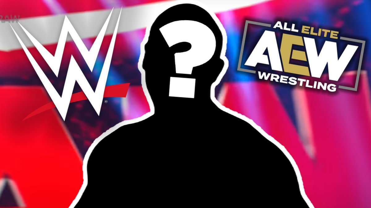 This Released Wrestler Turned AEW Down For WWE