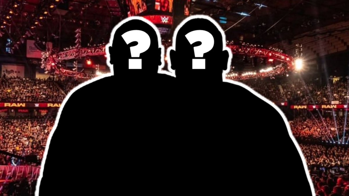 Ex-WWE Tag-Team Sets Record Straight On Surprising Company Exit