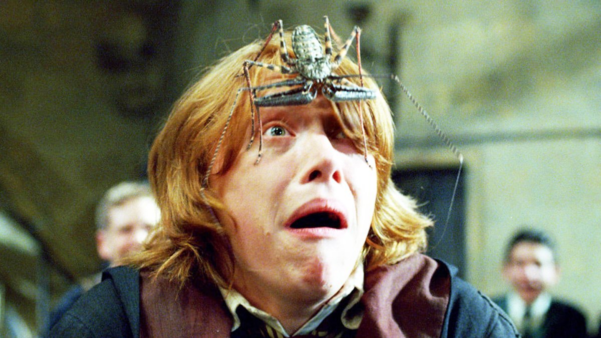 Harry Potter Quiz: Can You Match The Ron Weasley Scene To The Movie?