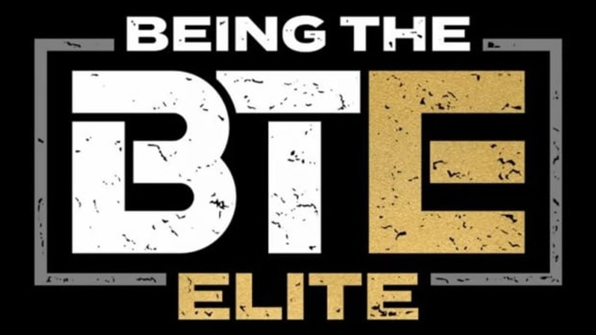 Being The Elite Put On Indefinite Hiatus