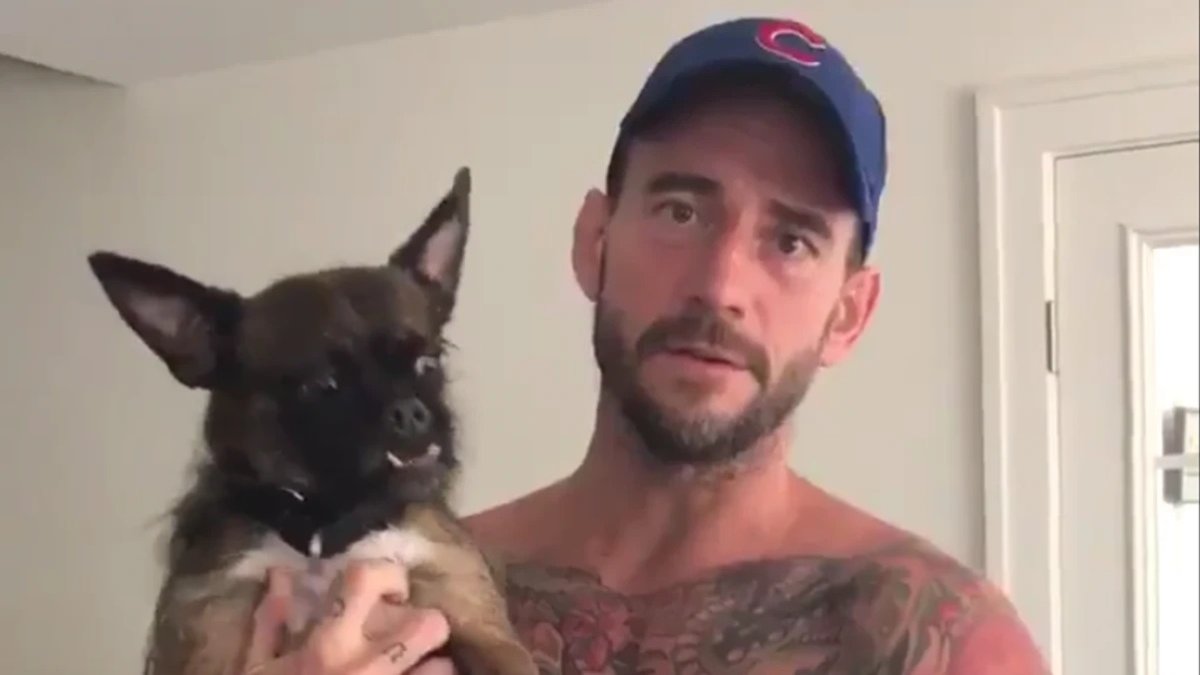 CM Punk Makes First TV Appearance Since AEW All Out Fight