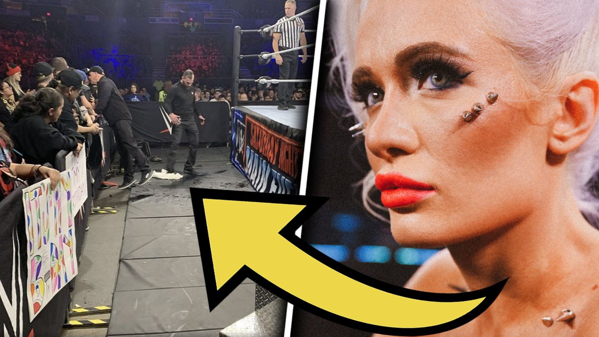 WWE House Show Chaos - Police Called, Fans Ejected! (VIDEO)