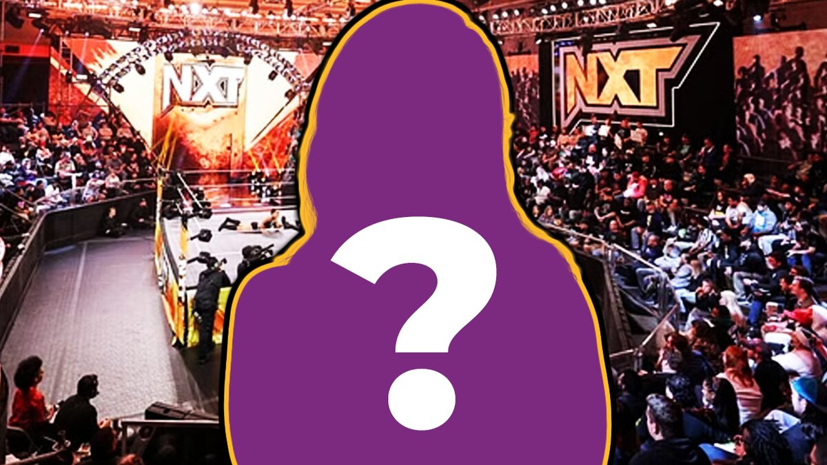WWE Main Roster Star Set For NXT Run?
