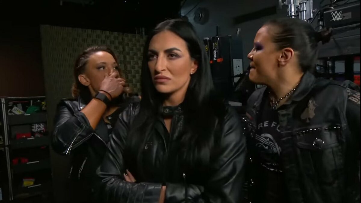 What WWE Talent Really Think Of Their Def Rebel Themes (WWE News)