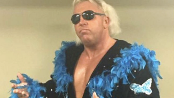 20 Wrestling Gimmicks That Got WEIRD Rip-Offs – Page 16